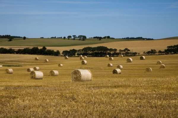 About Denmark – EUROPEA